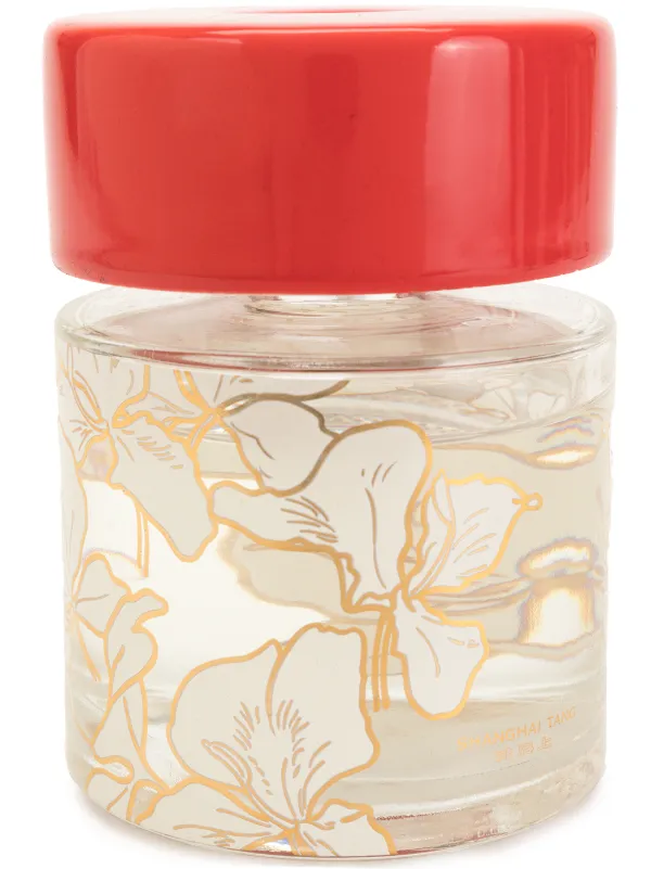 Ginger Flower Diffuser | Best Flower Site