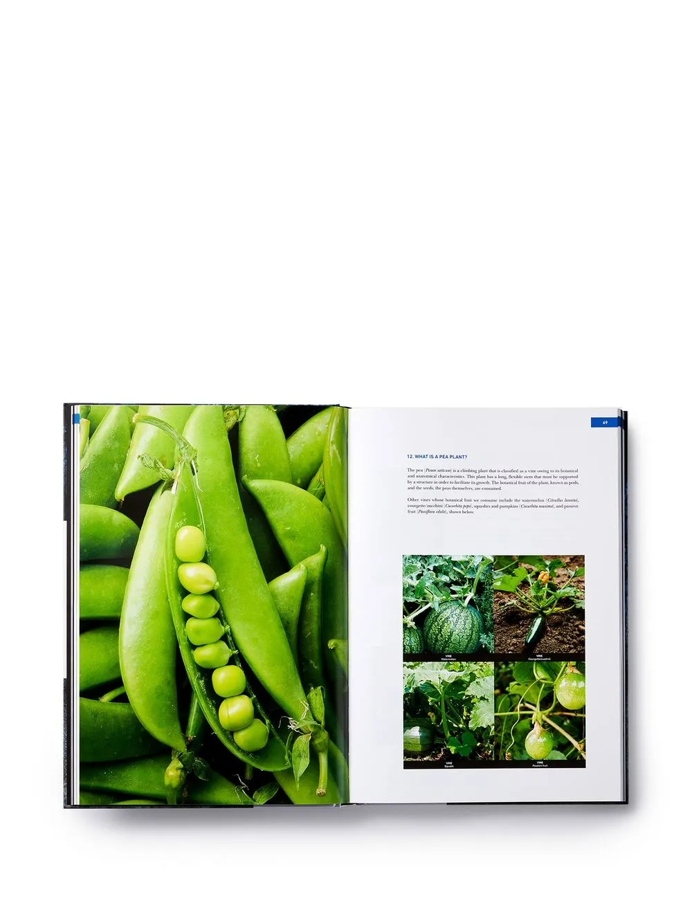 Phaidon Press Unelaborated Products: Definition And Classification ...