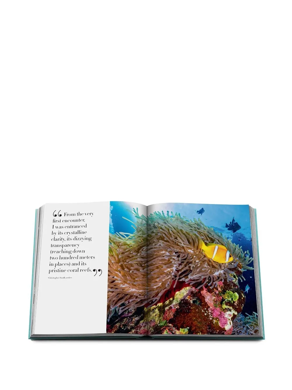 Assouline Red Sea: The Saudi Coast Book - Farfetch