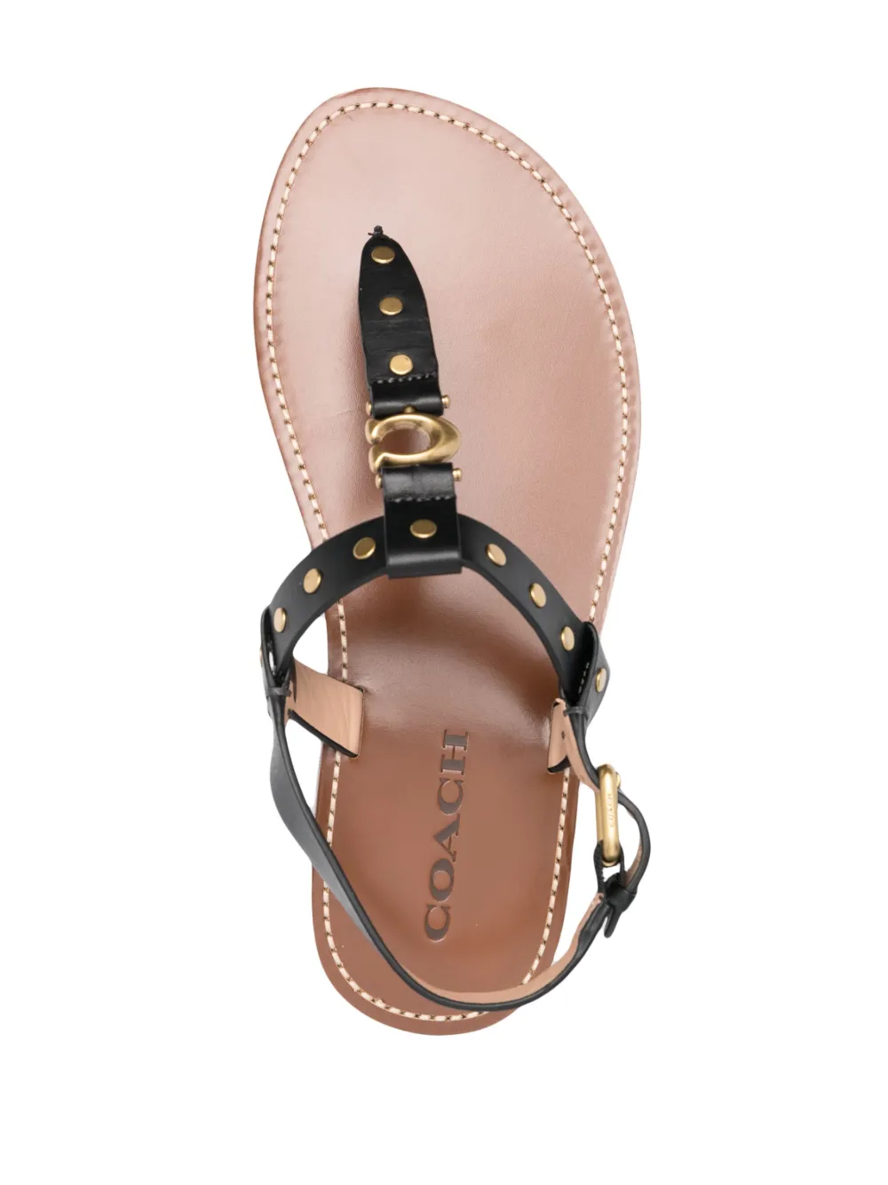 Coach Hailee Leather Thong Sandals In Schwarz | ModeSens