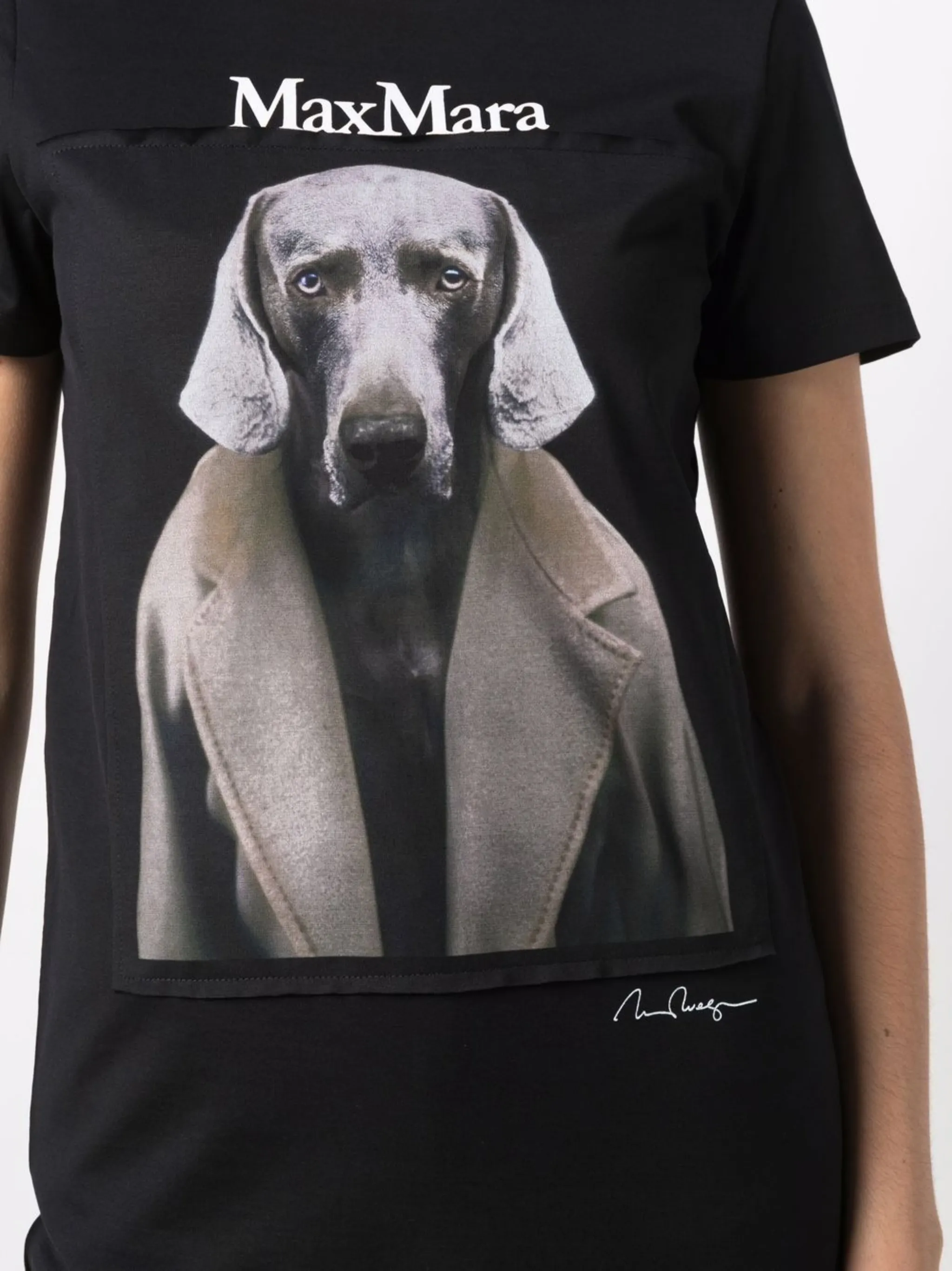 T-shirt Dogstar | Max Mara | Eraldo.com IT T-shirt Dogstar | Max Mara | Eraldo.com IT