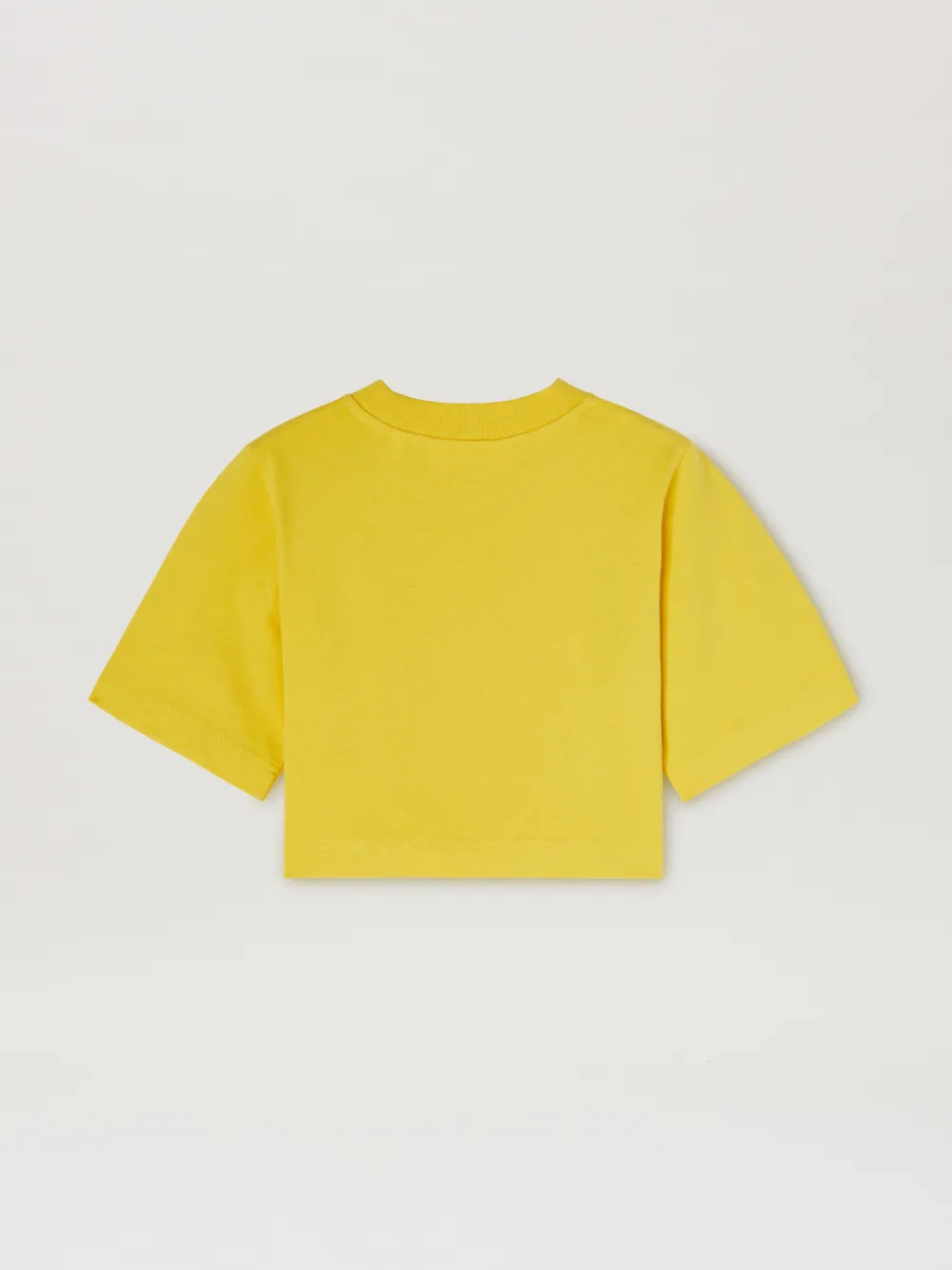 Bear Brush Crop T Shirt In Yellow Palm Angels® Official